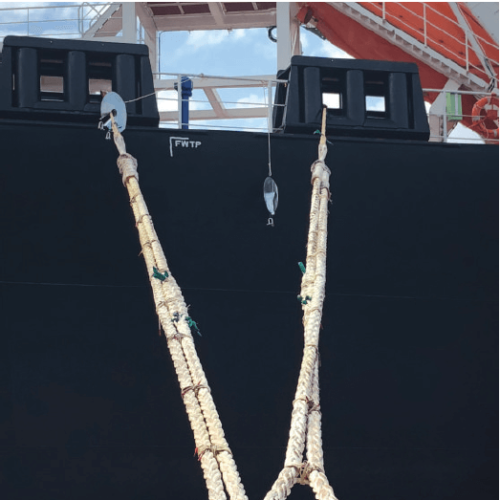 FBR: Tail + Shackles | Unique Group